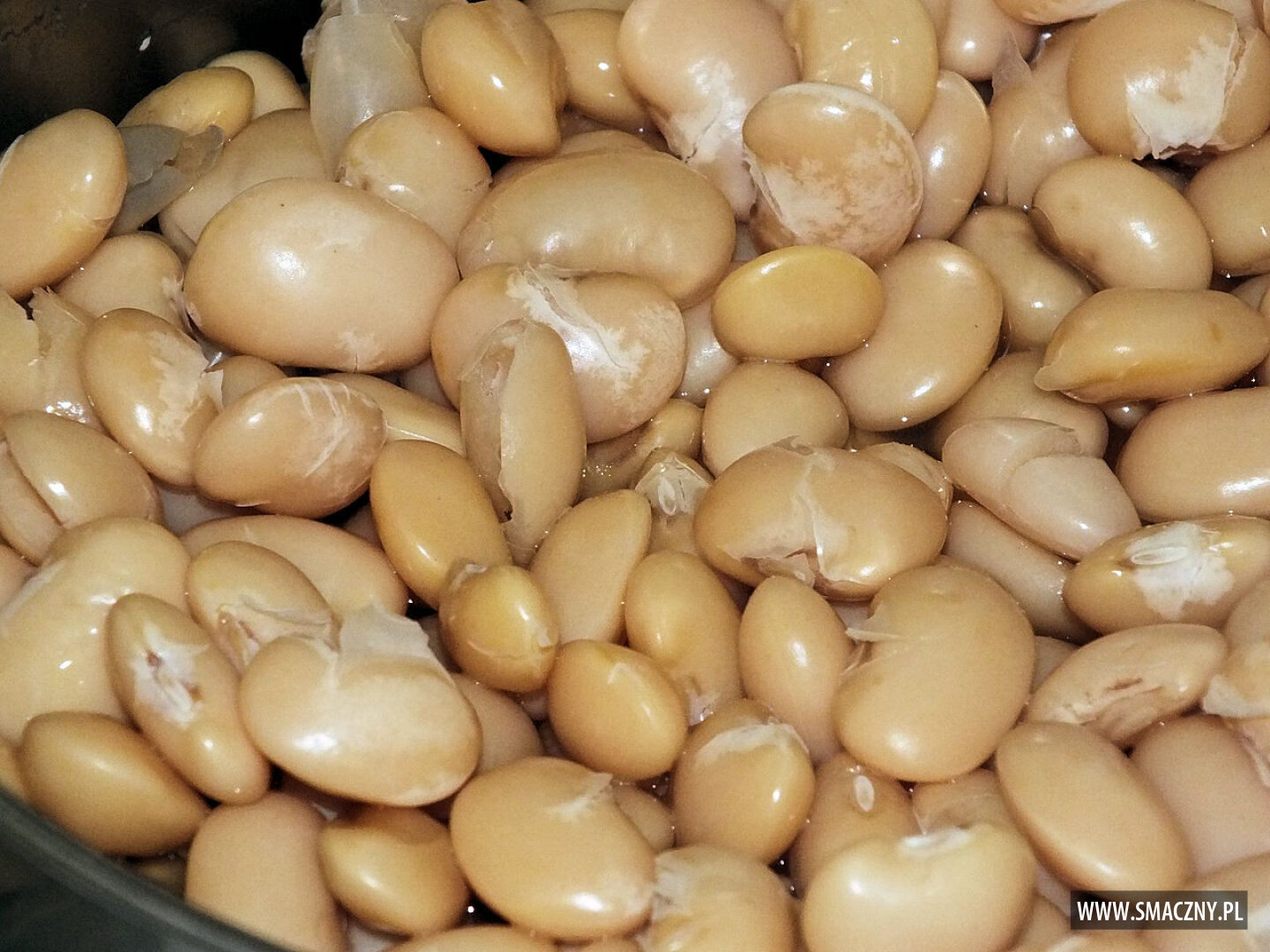 Kotlety z fasoli - Przepisy kulinarne - Dania główne