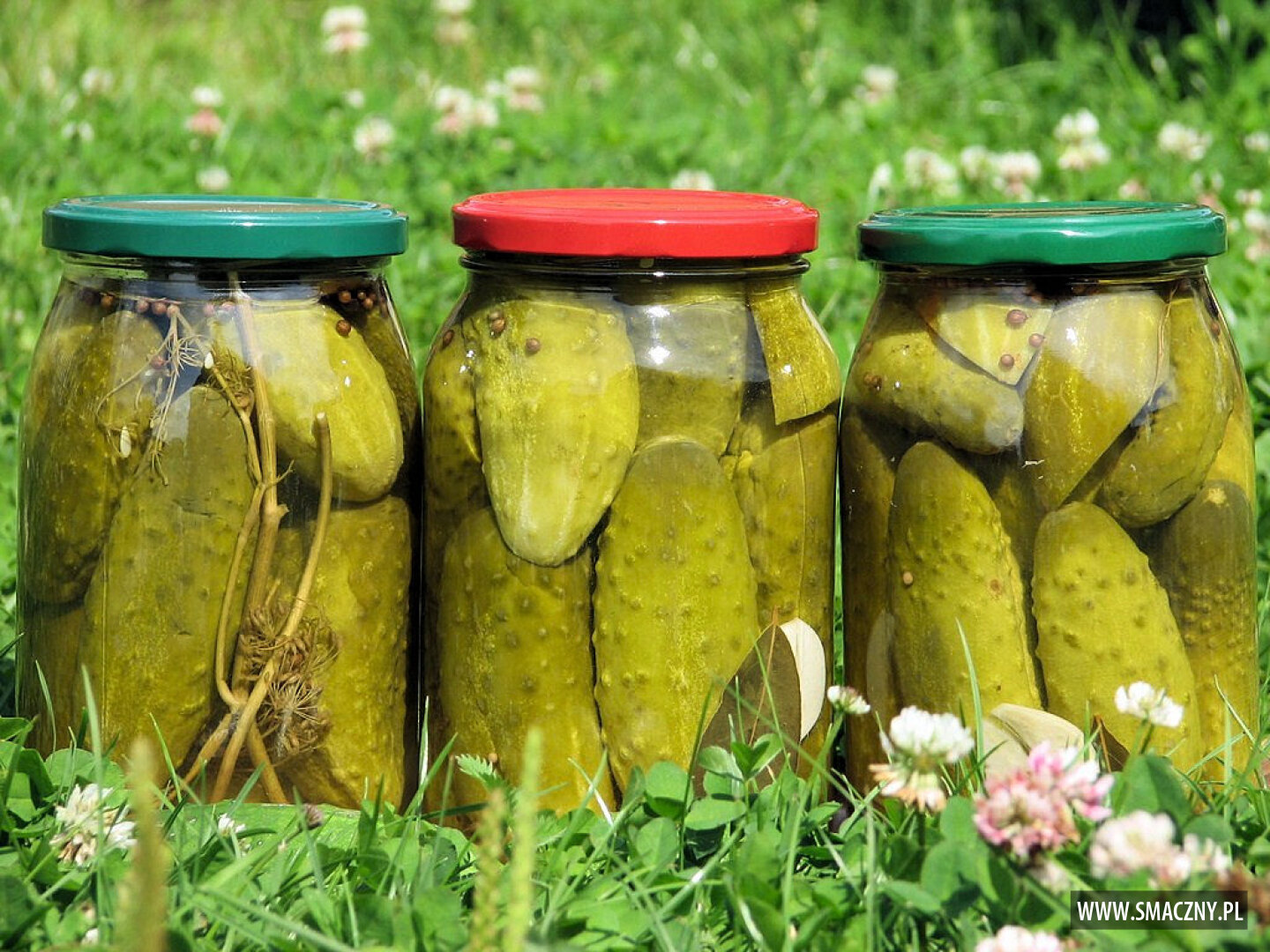 Ogórki konserwowe - korniszony - Przepisy kulinarne - Przetwory