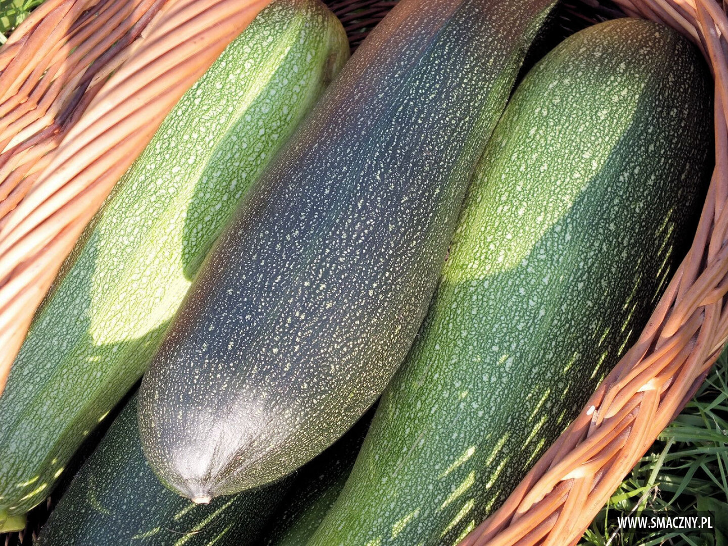 Smażona cukinia - Przepisy kulinarne - Dania główne